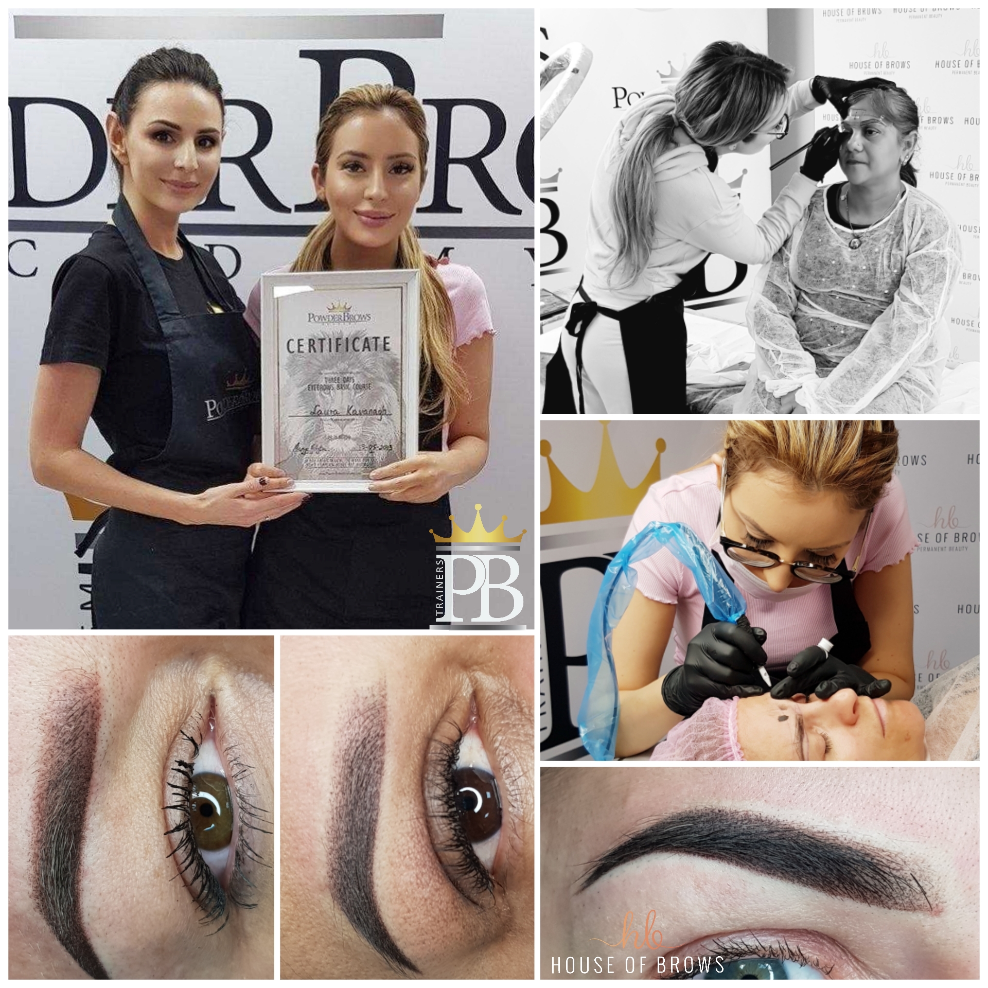 3 Days Ombre Brows Basic Course - houseofbrows.ie